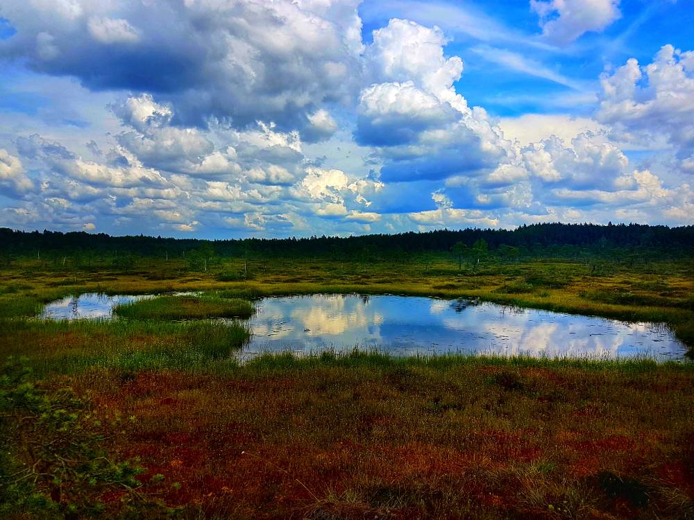 - Hiite kuvavõistlus